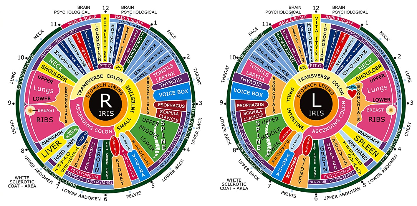 Iridology What Eyes Reveal About Health Chadnet